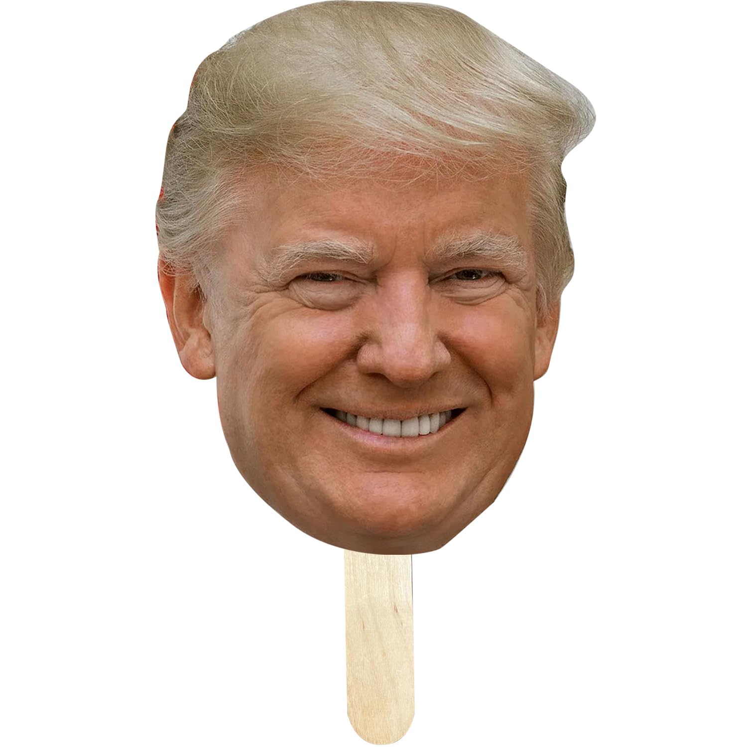 Amazon.com: Donald Trump - 12 in Big Heads on a Stick for Presidential ...