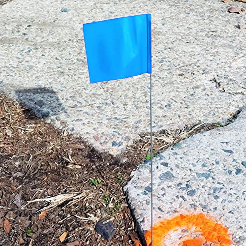 Snapklik.com : Zozen 100 Pack Marking Flags, Blue Marker Flags - 15x4x5 ...