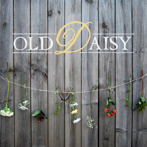 Amazon.com: Old Daisy : Old Daisy: Digital Music
