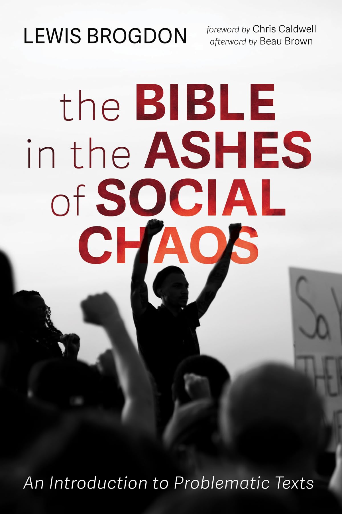 The Bible in the Ashes of Social Chaos: An Introduction to Problematic ...
