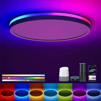 Matane Smart LED Ceiling Light WiFi, 12IN RGB Flush Mount Light Fixture ...