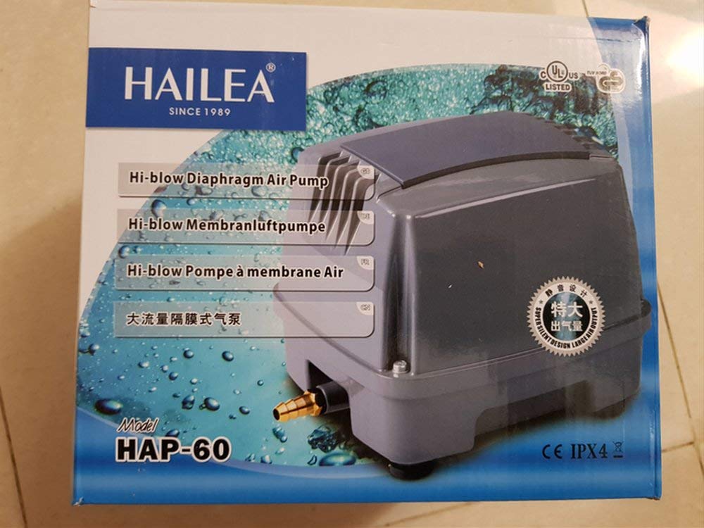 Hailea HAP 60 Air Pump : Amazon.in: Car & Motorbike