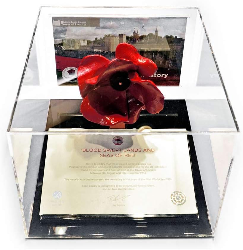 Tower Of London Poppy Display Case Wall Mounted : Amazon.co.uk: Home ...