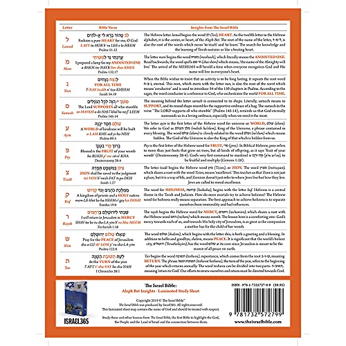 Snapklik.com : Aleph Bet Insights Learn Biblical Hebrew Hebrew English Laminated Sheet