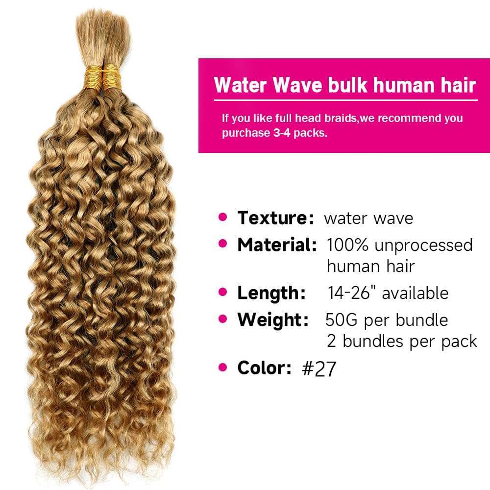 Snapklik.com : Cecycocy Wtater Wave Human Braiding Hair 100g Two ...
