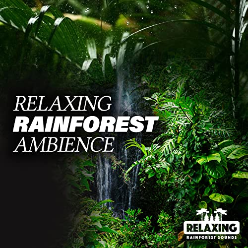 Play Relaxing Rainforest Ambience by Relaxing Rainforest Sounds on ...