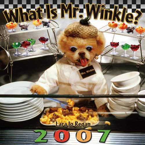 What is Mr. Winkle? 2007 Calendar: Lara Jo Regan: 9780970275158: Amazon ...
