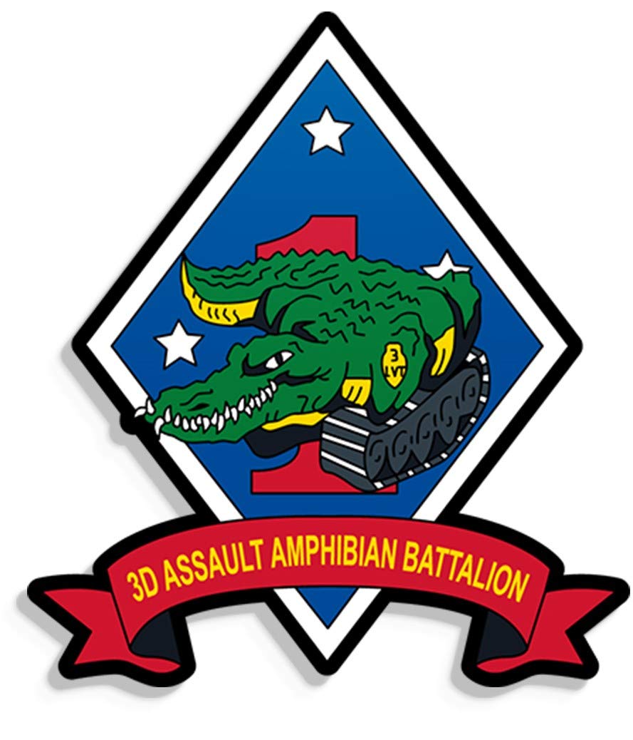3rd Assault Amphibian Battalion 1980 The New Marine Infantry Battalion