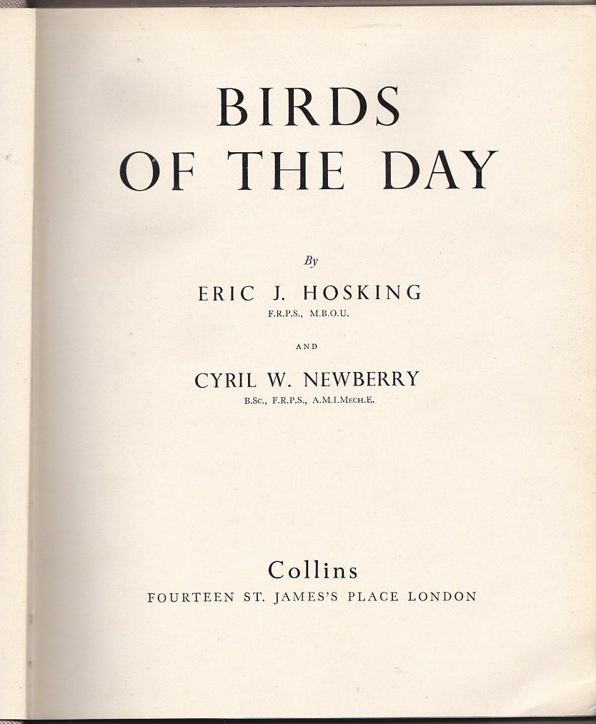 Birds Of The Day: Hosking, Eric & Newberry, Cyril: Amazon.com: Books