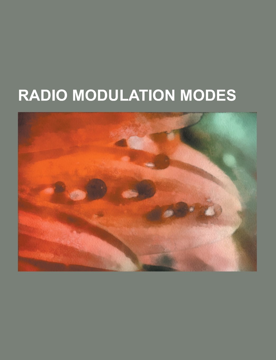 Amazon.co.jp: Radio Modulation Modes: Modulation, Frequency Modulation ...