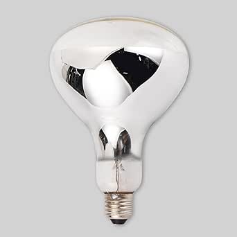 FSCHLELUX Incandescent R40 Reflector Infrared Lamp, Explosion Proof ...