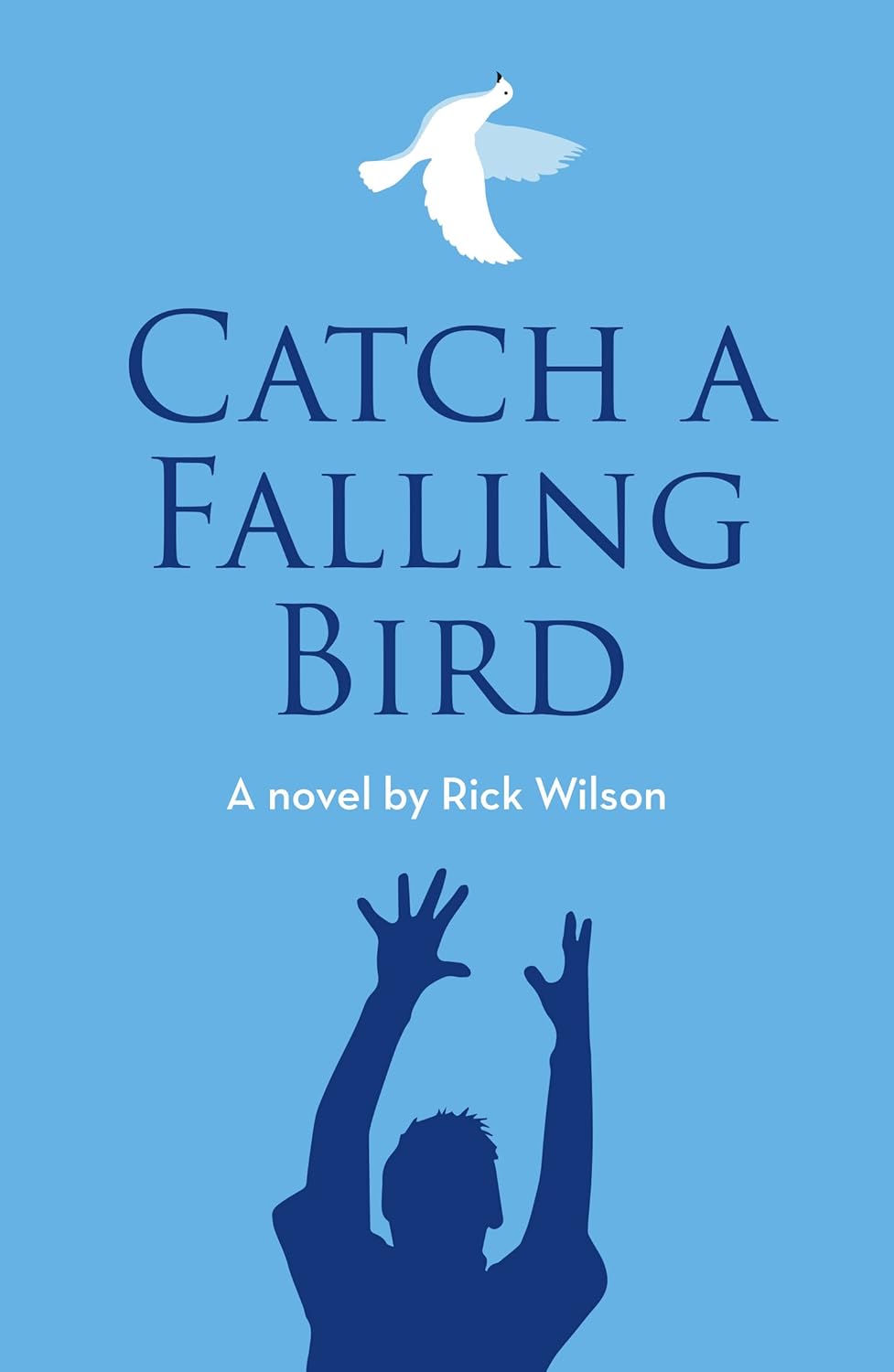 Catch a Falling Bird - Kindle edition by Wilson, Rick. Mystery ...