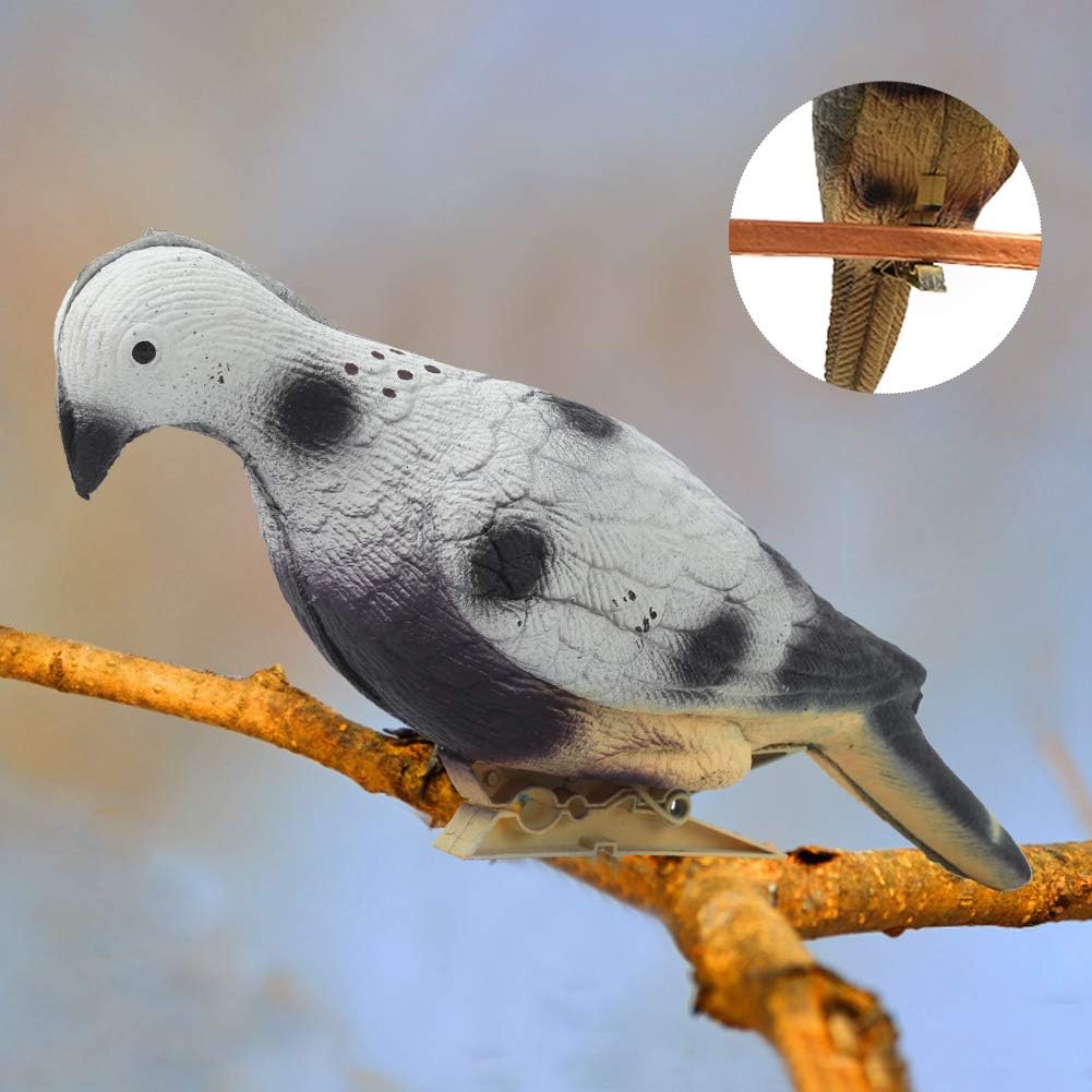 Amazon.com : Archery Animal Decoy,3D Archery Bird Target, 5pcs Archery ...