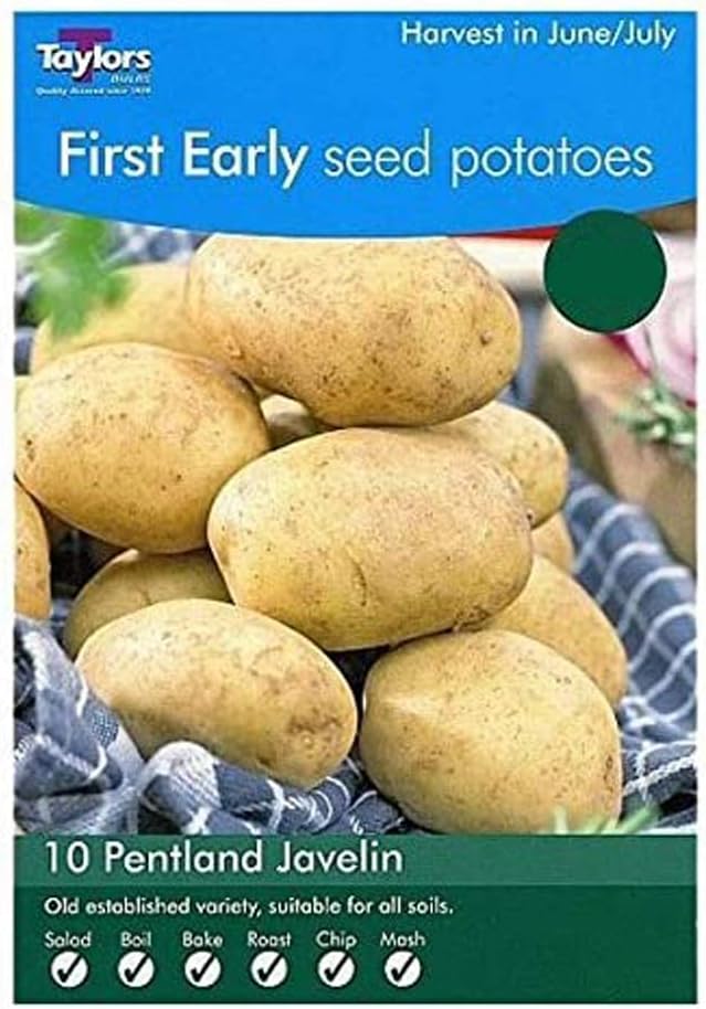 Desiree Seed Potatoes Desiree. Main Crop The World's Most Popular red Potato 2Kg Tubers : Amazon ...
