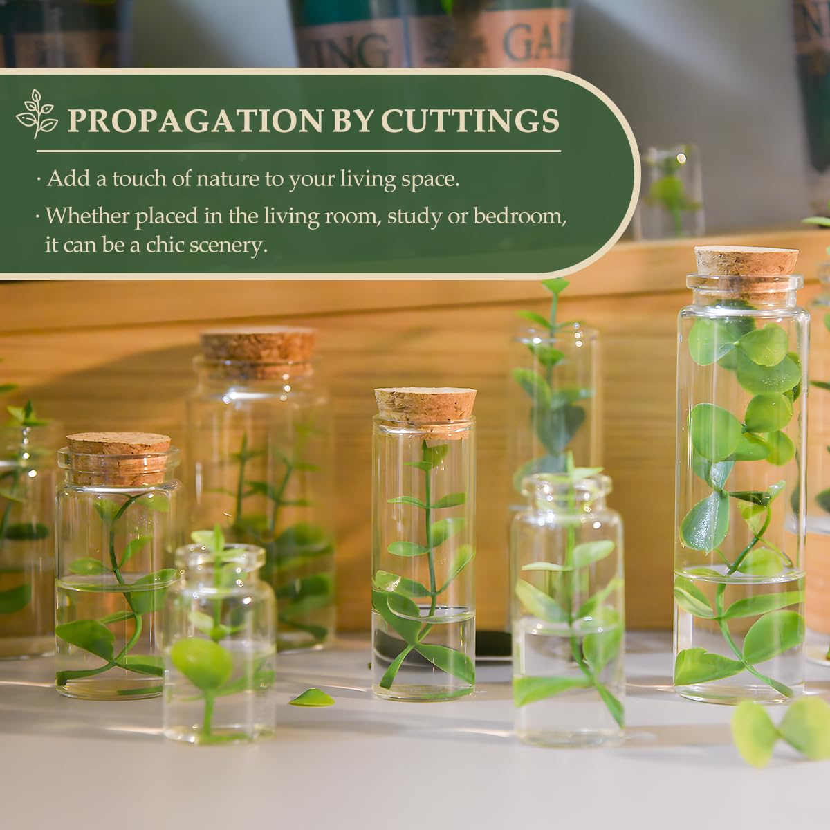 Craft Test Tubes With Corks 10PCS Plastic Test Tubes,Clear Plastic