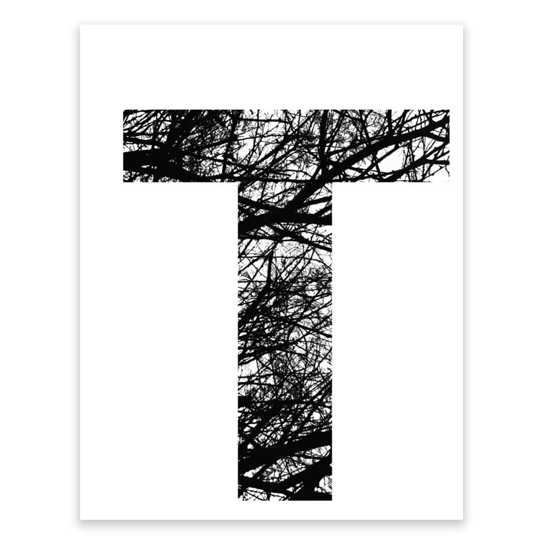 Black And White Letter T In Nature