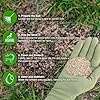 GroundMaster General Purpose Grass Seeds – 1kg Premium Grass Seed Mix ...