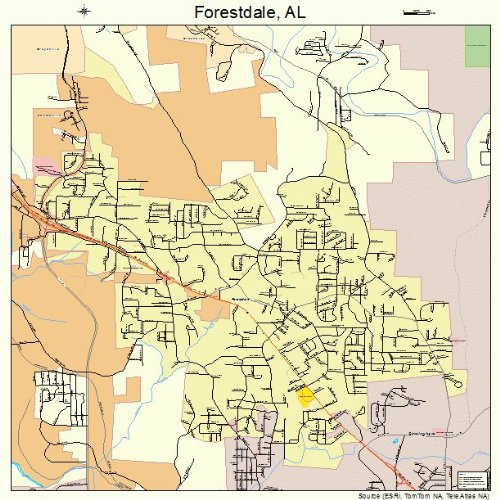 Amazon.com: Large Street & Road Map of Forestdale, Alabama AL - Printed ...