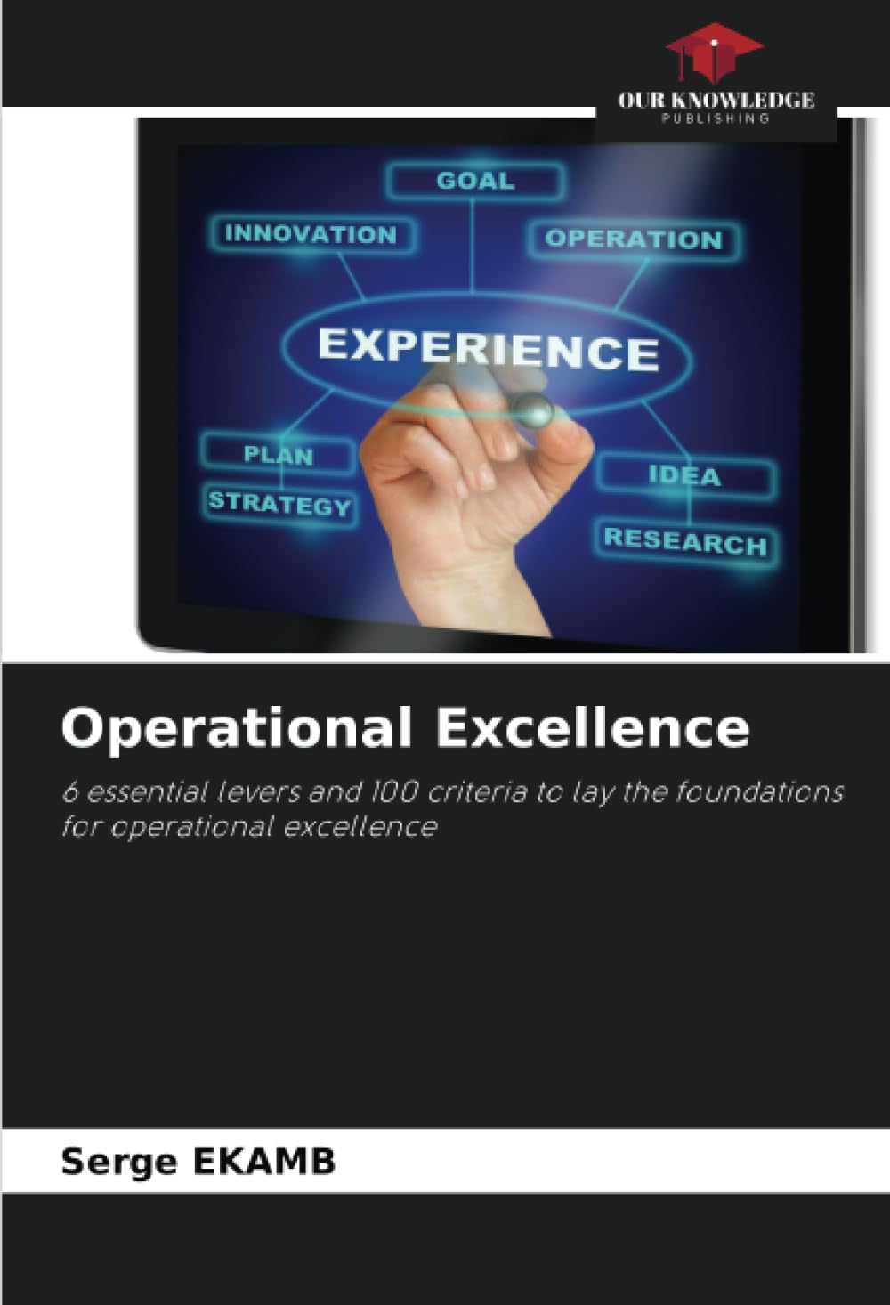 Operational Excellence: 6 essential levers and 100 criteria to lay the ...