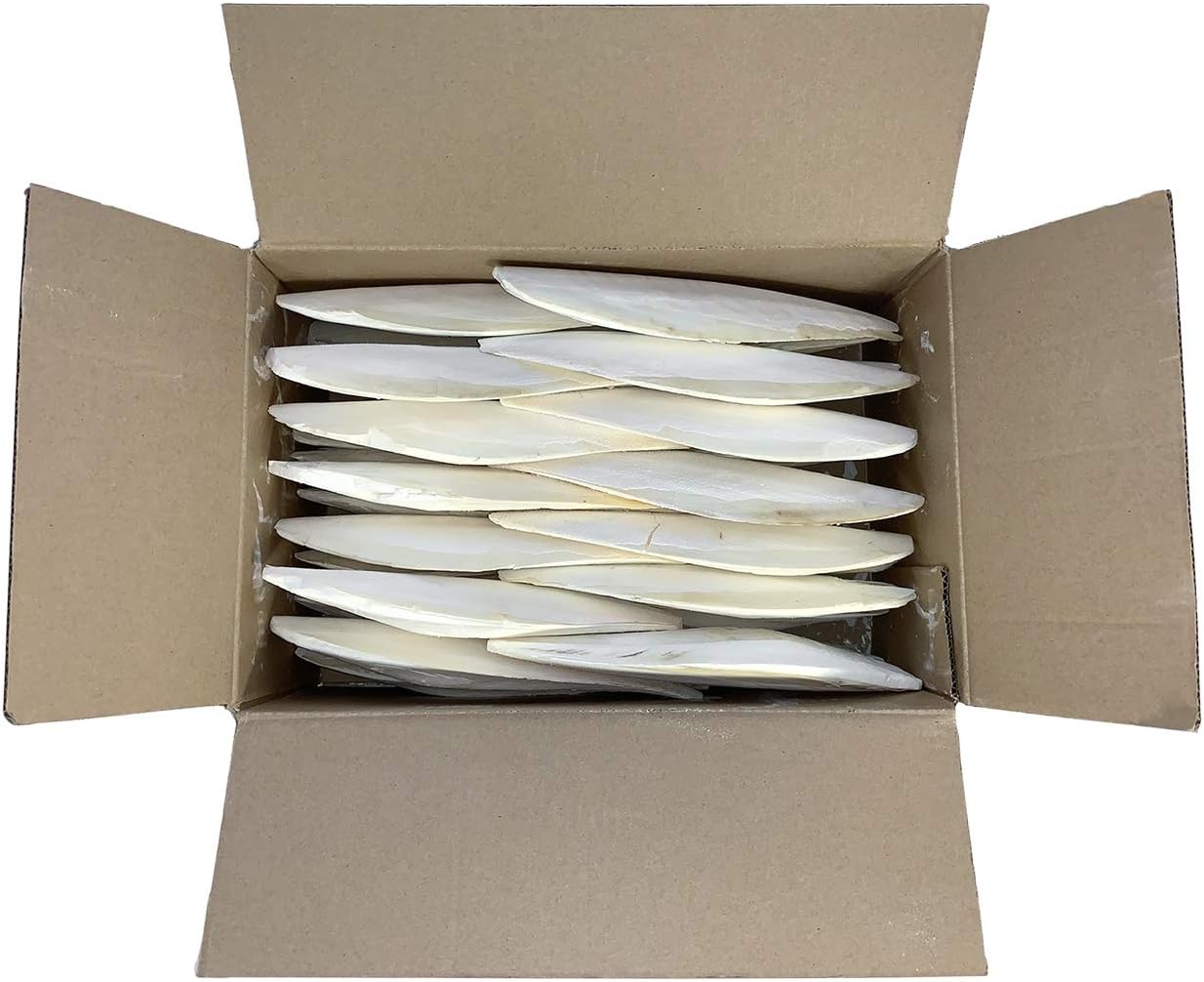 Amazon.com : Birds LOVE Cuttlebone for Birds - Cuttlebone for Tortoise ...