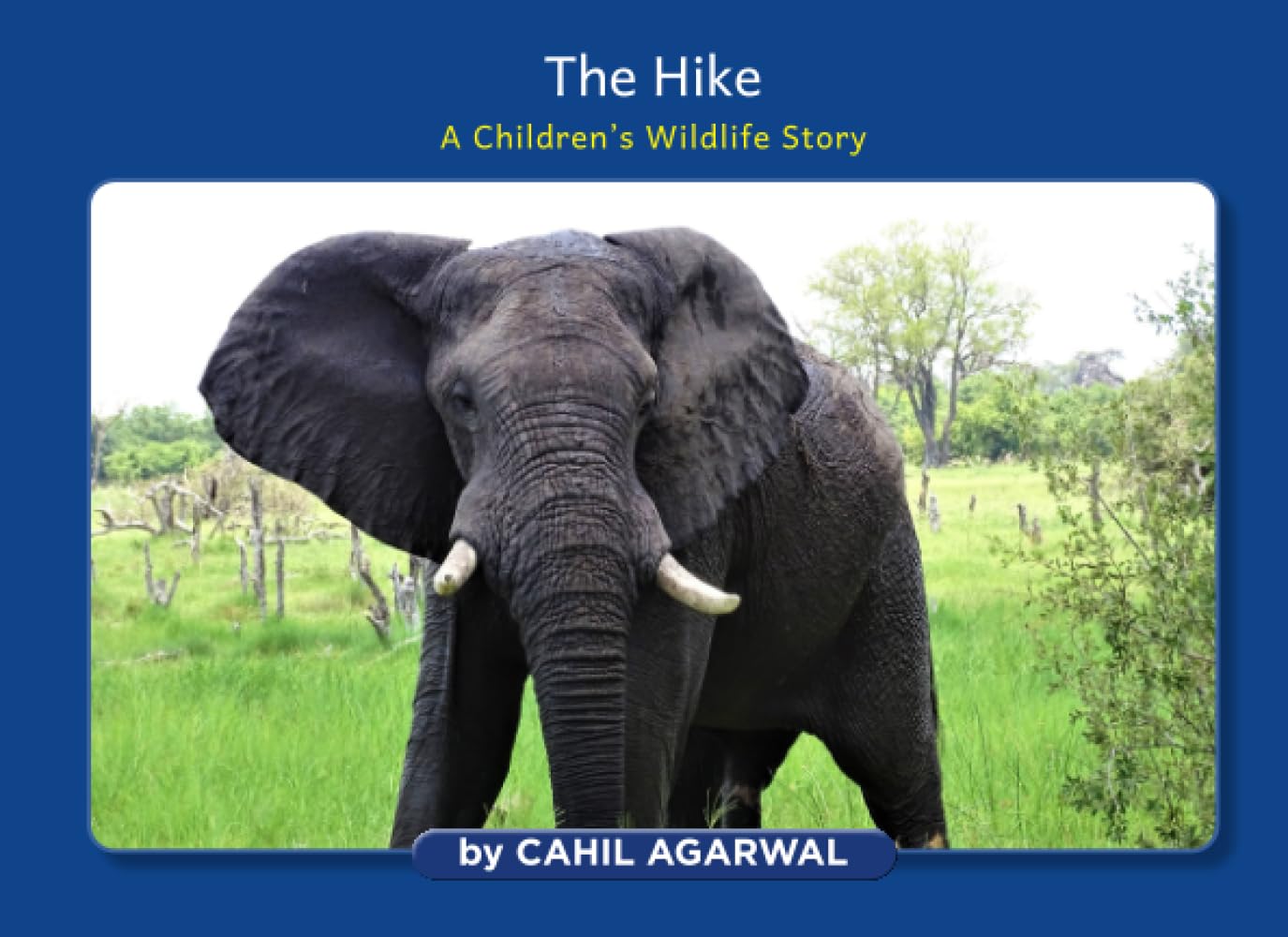 The Hike: A Children's Wildlife Story: Agarwal, Cahil, Wild, Conserve ...