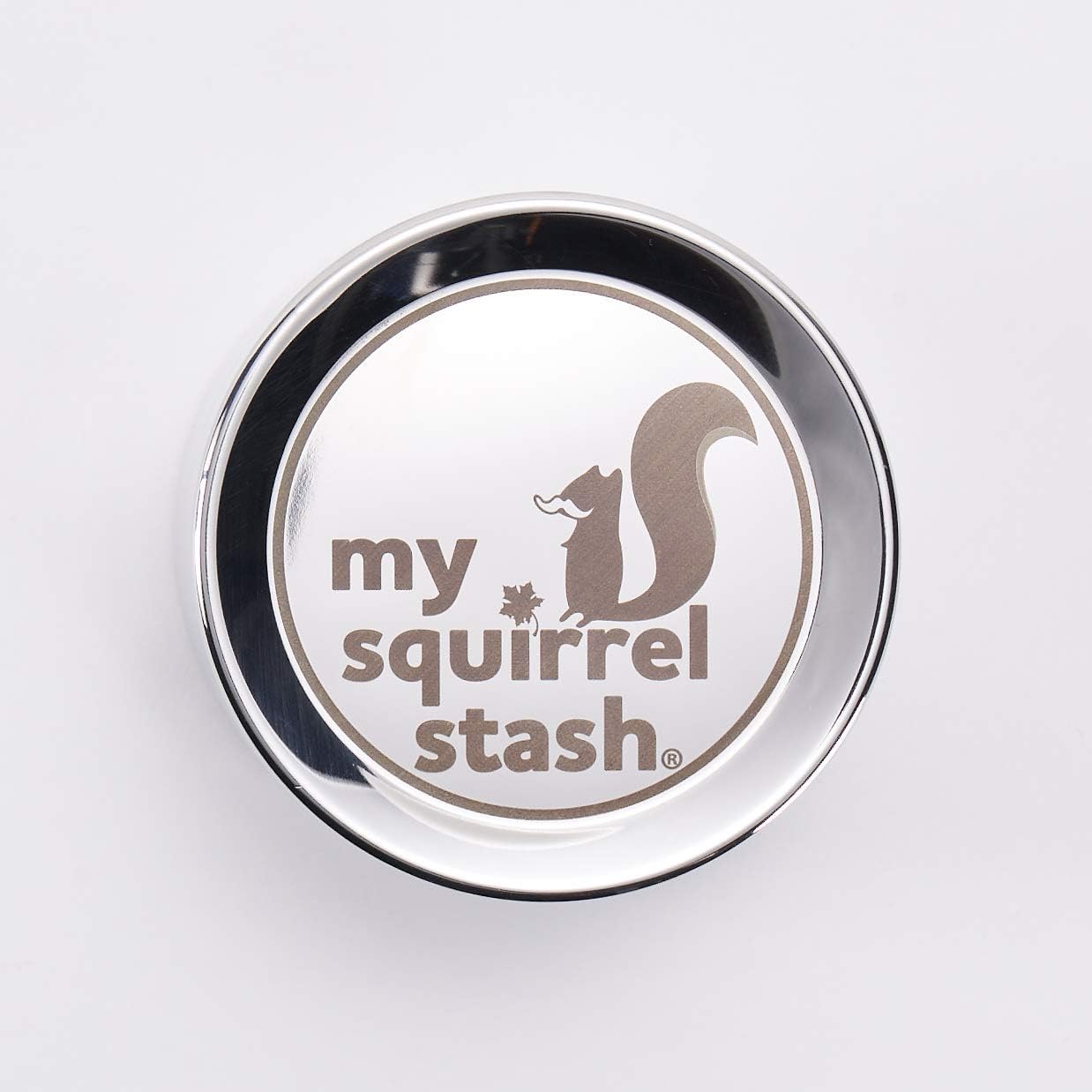 Amazon.com: Storage Container Stainless Steel My Squirrel Stash ...