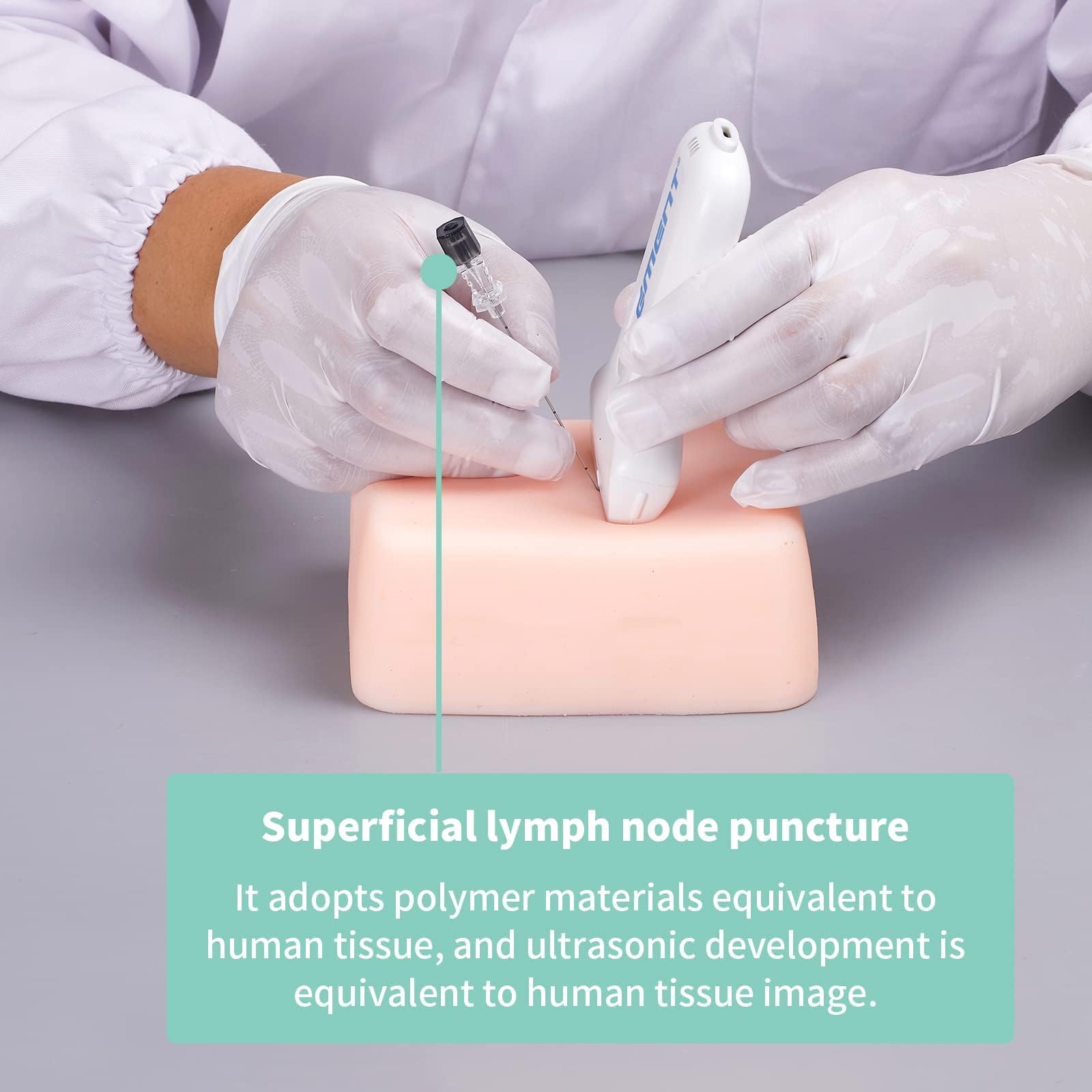 Snapklik.com : Ultrasonic Puncture Model,Superficial Lymph Node Biopsy ...