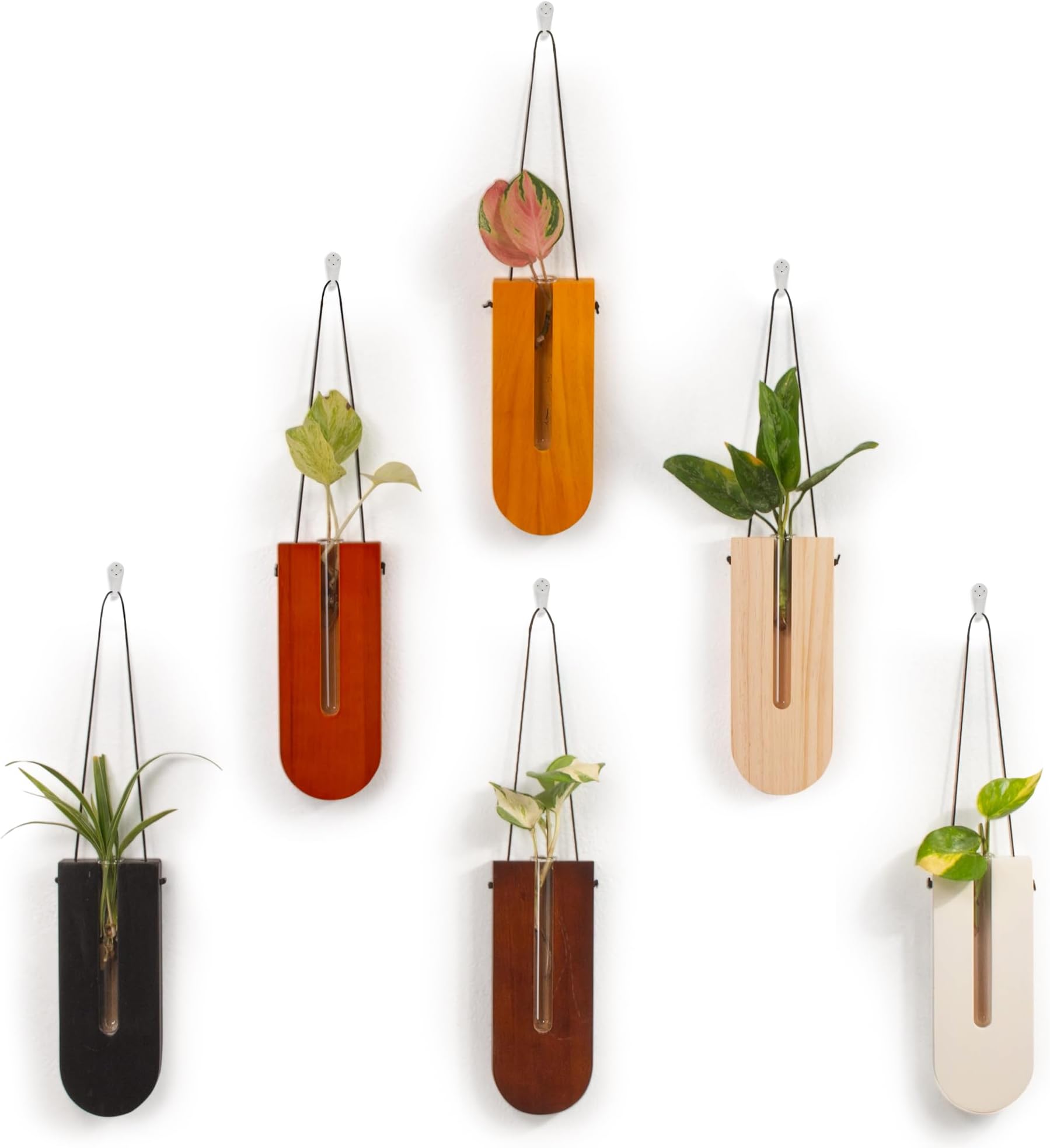 Amazon.com: The Jo Co Propagation Stations, Hanging Planter ...