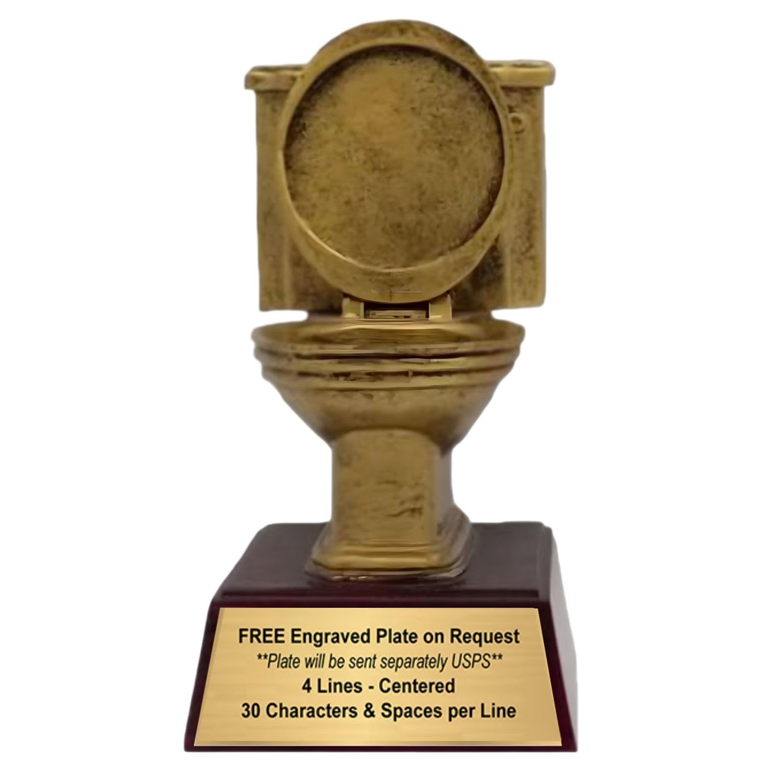 Snapklik.com : Decade Awards Gold Toilet Bowl Trophy - Custom Engraved ...