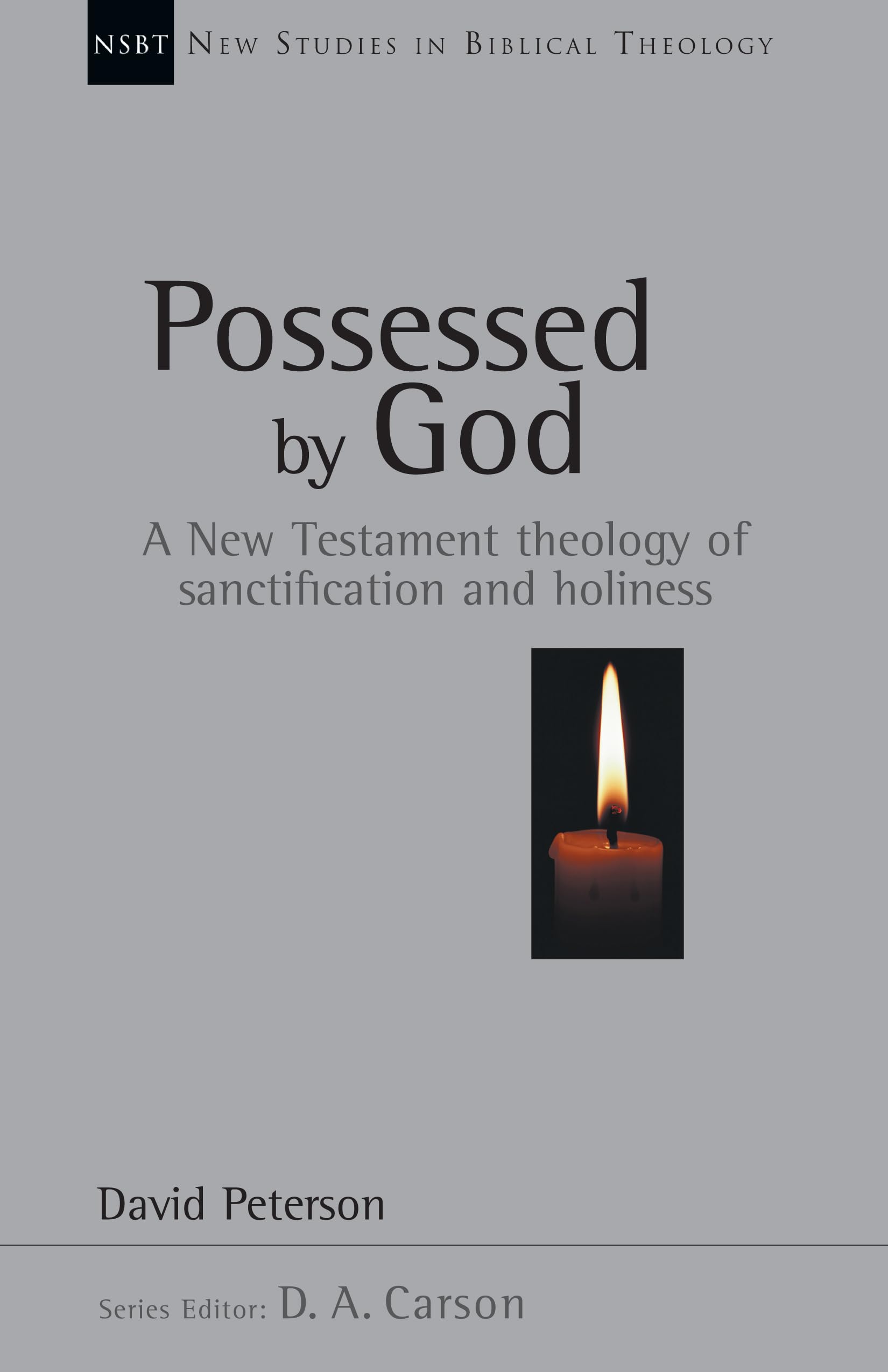 Possessed by God: A New Testament theology of sanctification and ...