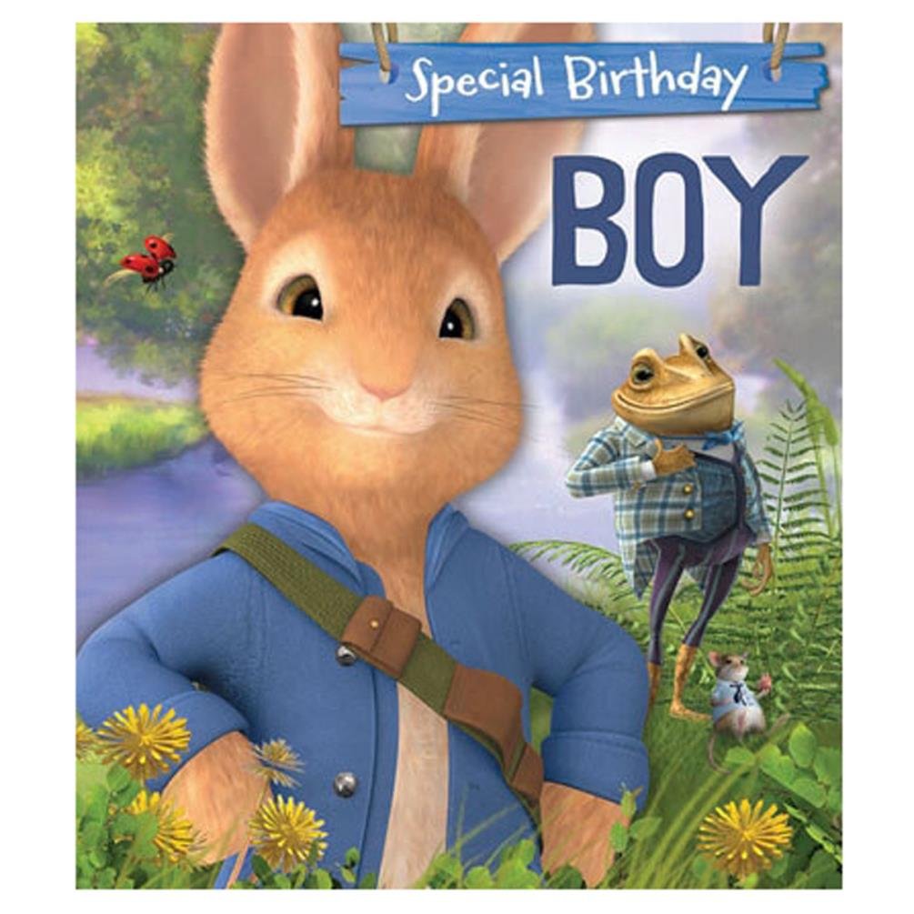 Peter Rabbit PE009 BOY Birthday Card Multi Colour : Amazon.co.uk ...