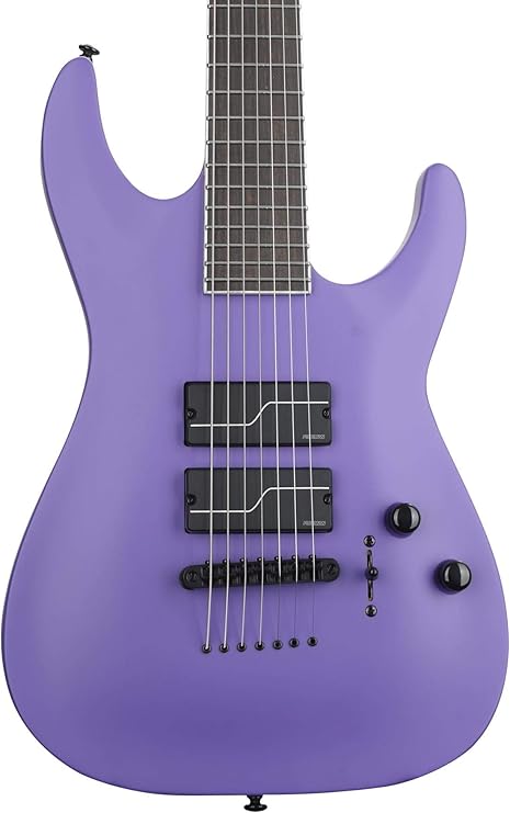 Amazon.com: ESP 7 String LTD SC-607 Baritone Stephen Carpenter ...