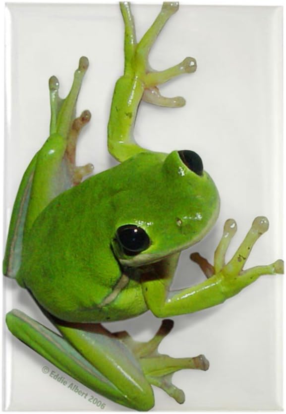 Amazon.com: CafePress Tree Frog Rectangle Magnet, 3"x2" Refrigerator ...
