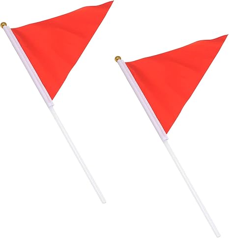 Amazon.com : MY MIRONEY Stick Flag 40-Pack Pennants Stick Flag Hand ...