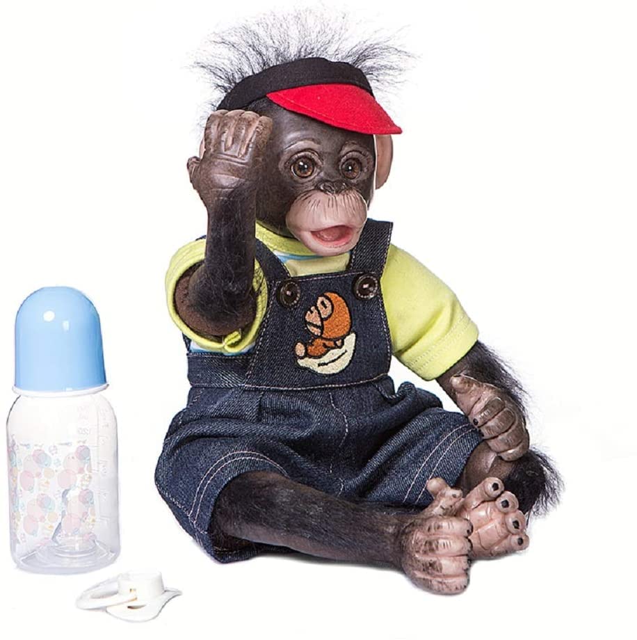 Baby Monkey Wearing Clothes