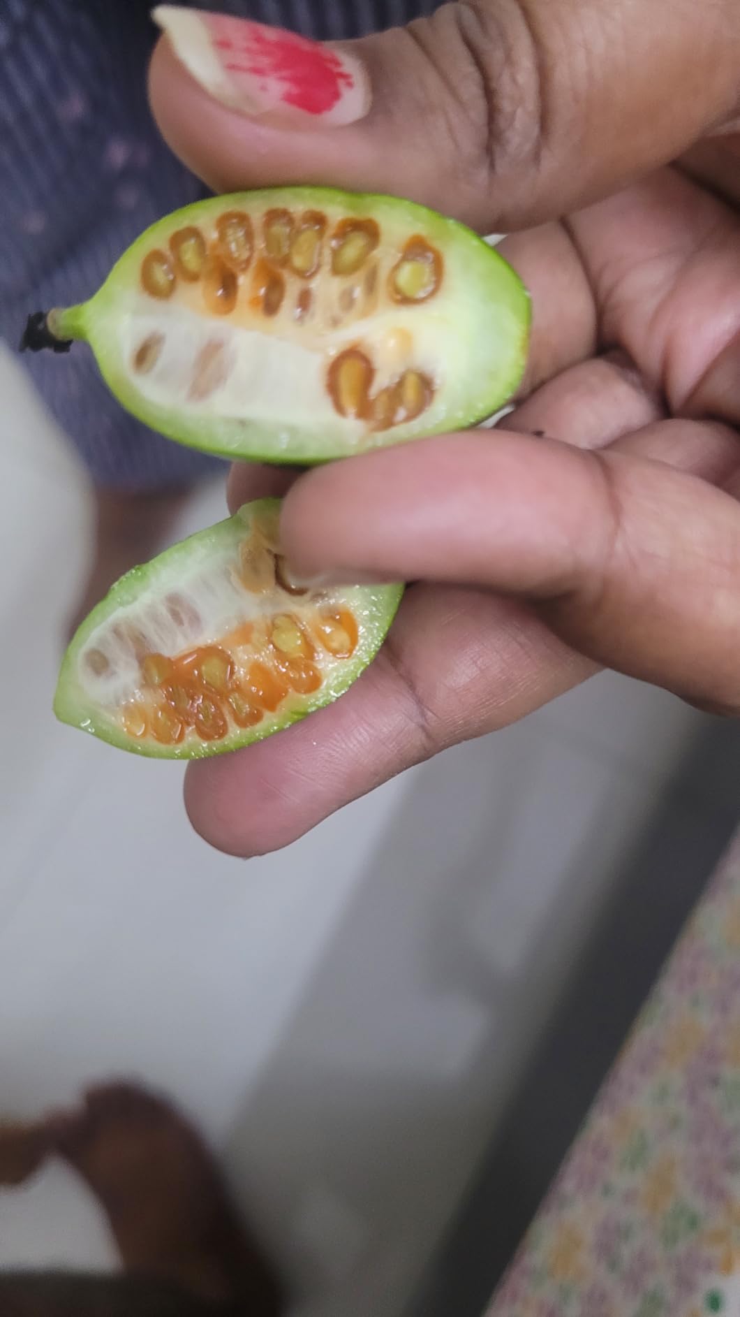 Fresh Organic Tendli, 250 g : Amazon.in: Grocery & Gourmet Foods