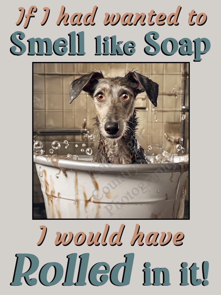 Lurcher Memes