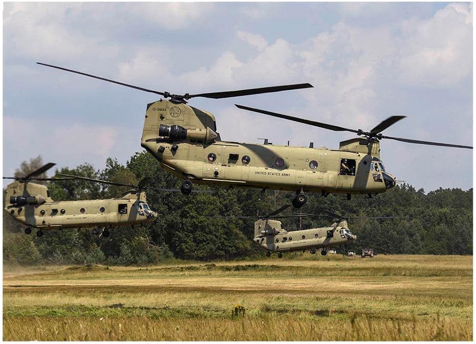 Amazon.com: Puzzle Rabbit - 1000 Piece Multicolor Jigsaw Puzzle - Army ...