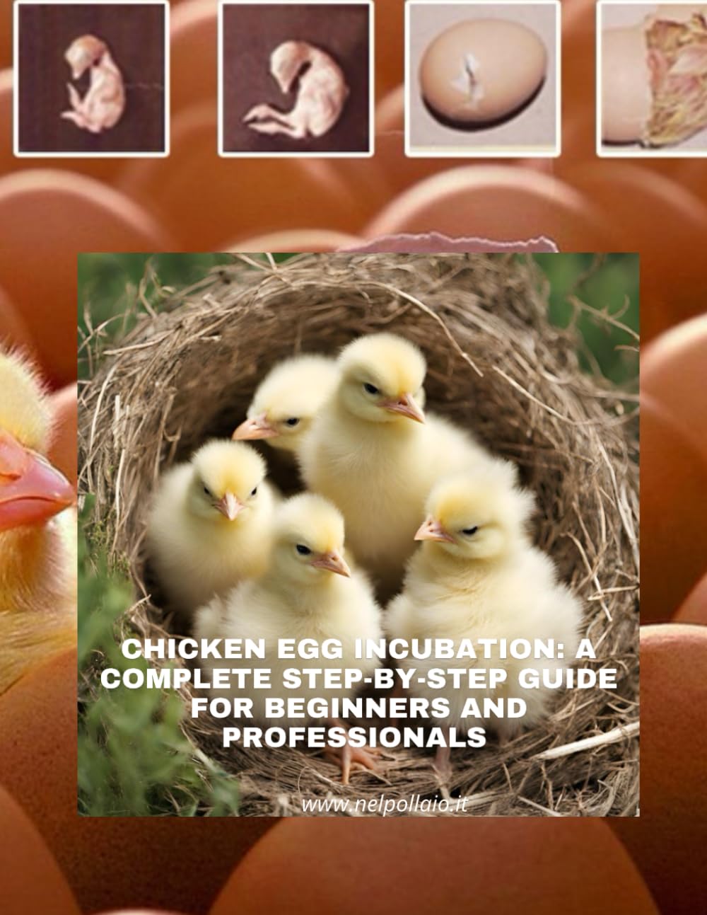 Chicken Egg Incubation: A Complete Step-by-Step Guide for Beginners and ...