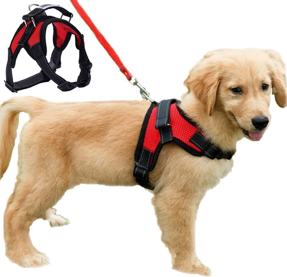 Dog Harness Mesh Breathable Comfortable Pet Vest No Pull Adjustable ...