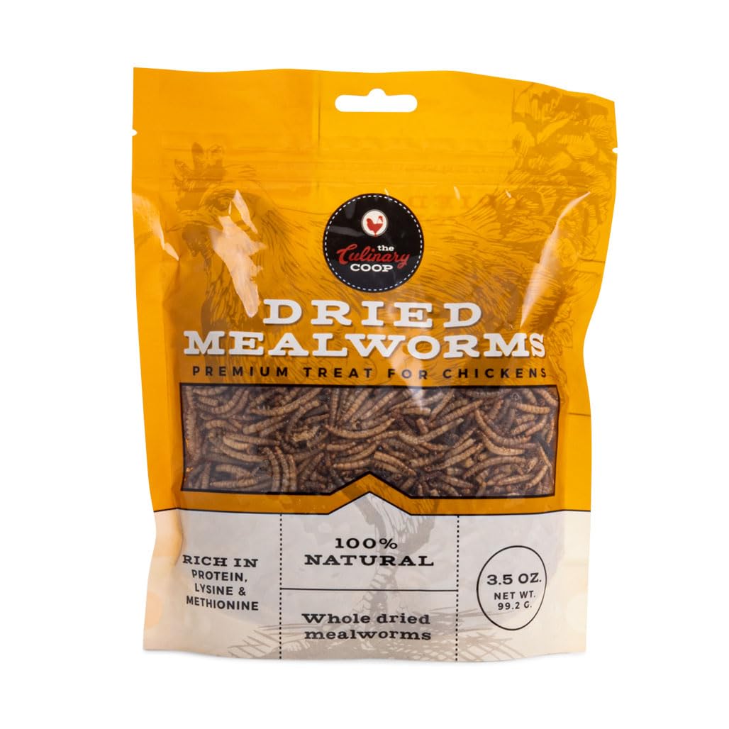Amazon.com : Fluker's Culinary Coop Premium Chicken Treats, Mealworms 3 ...