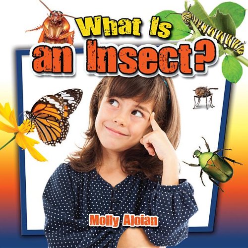 Amazon | What Is an Insect? (Insects Close-Up) | Aloian, Molly | Bugs ...