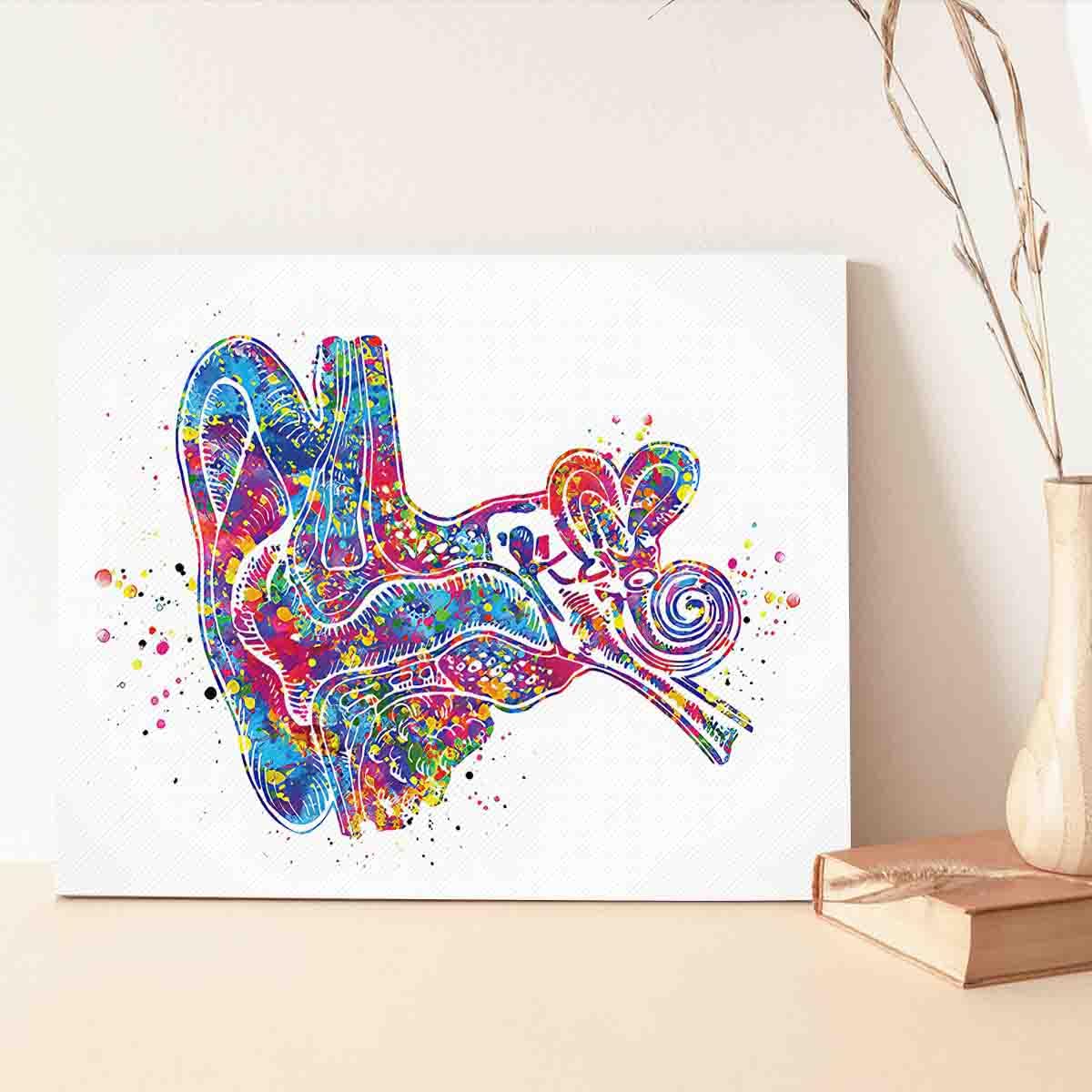 Snapklik.com : MBARE Watercolor Art Wall Decor,Ear Watercolor Print ...