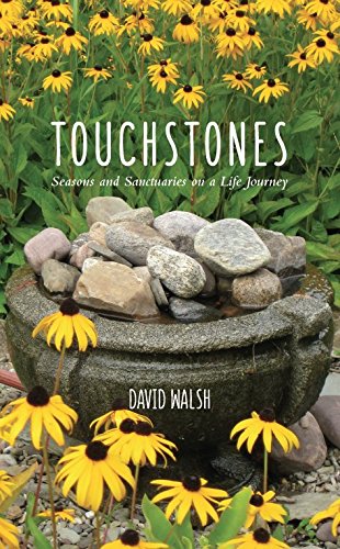 Touchstones: David Walsh, David Walsh: 9781614683841: Amazon.com: Books