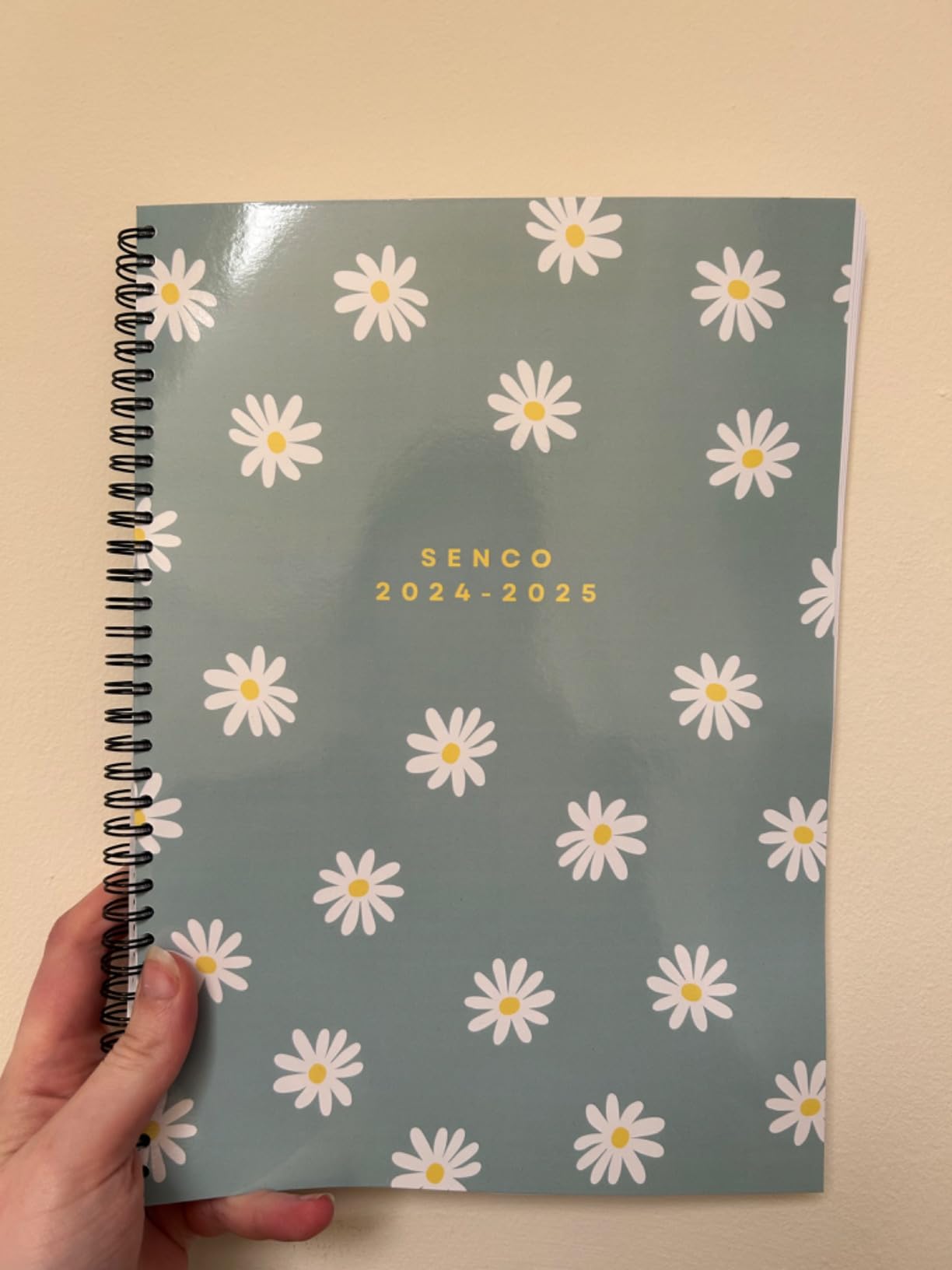 SENCO Planner and Organiser 2024-2025: Amazon.co.uk: Wilson, Amy ...