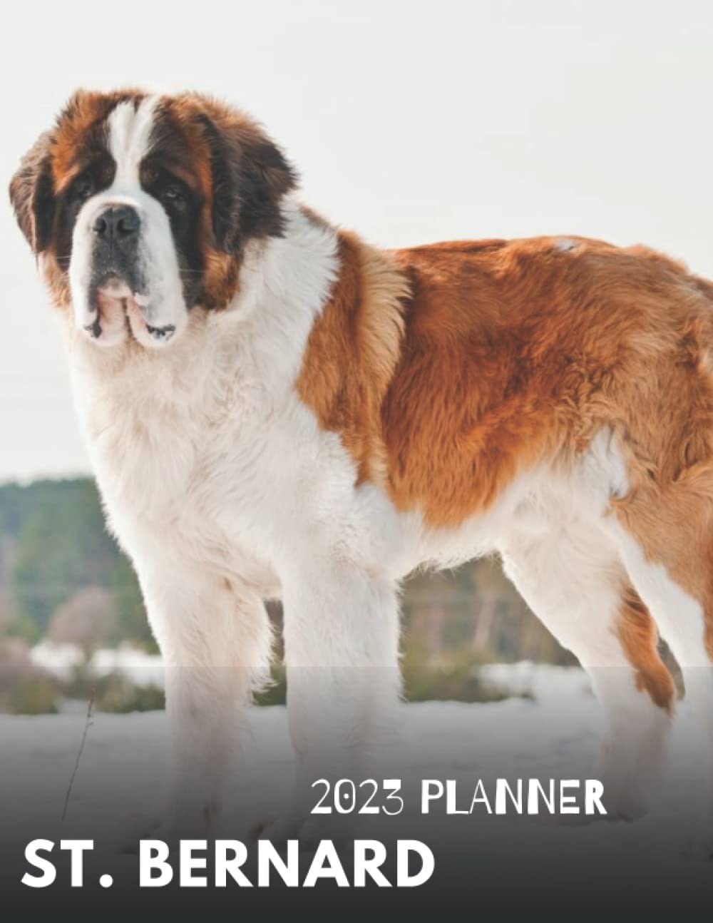 Buy St Bernard 2023 Planner: Saint Bernard Monthly Weekly Daily Planner ...