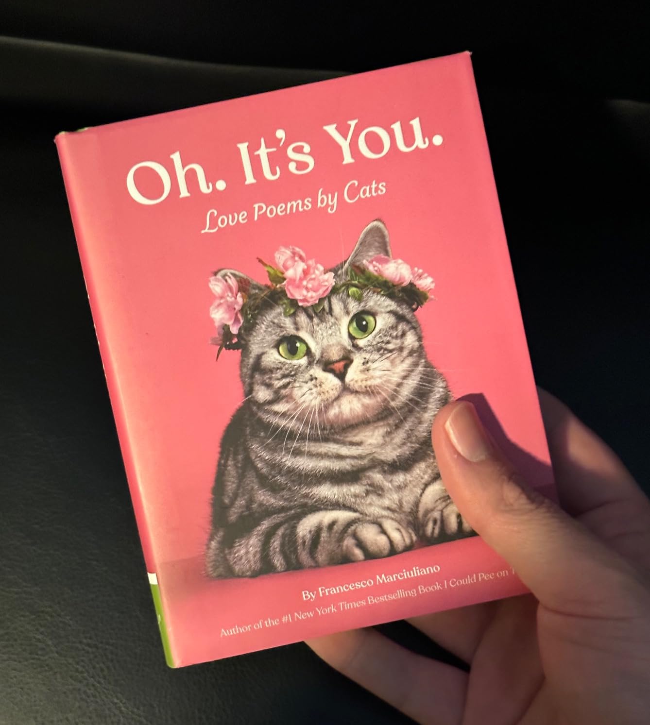 Oh. It's You.: Love Poems by Cats - Kindle edition by Marciuliano ...
