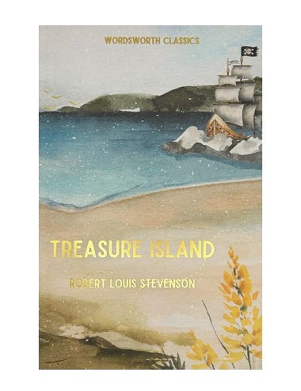 Treasure Island (Wordsworth Classics): Robert Louis Stevenson ...