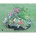 High Caliper Growing, inc. Smart Pots Big Bag Bed Fabric Raised ...