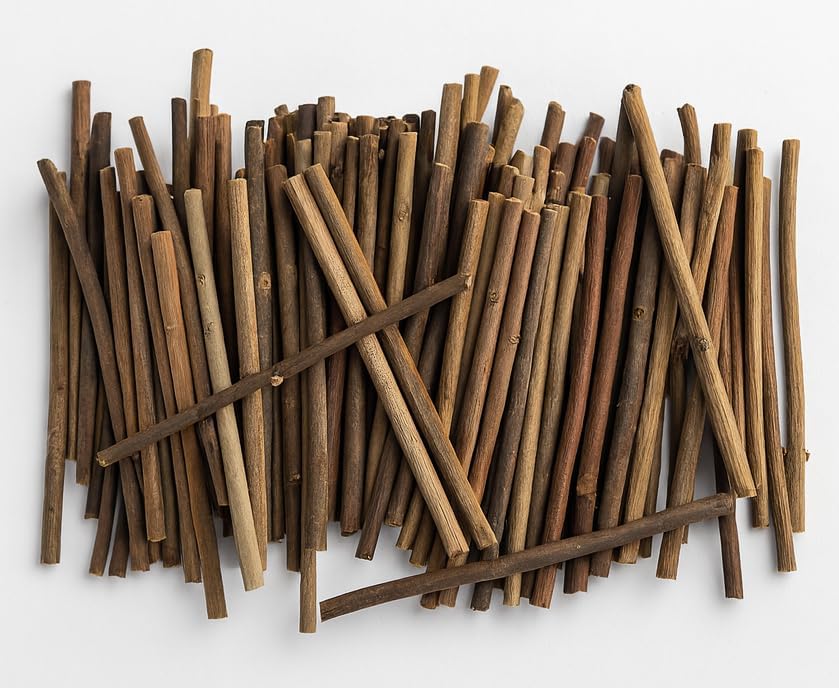 Twigs for Crafting – 100 Natural Wooden Sticks for Fairy Houses, DIY ...